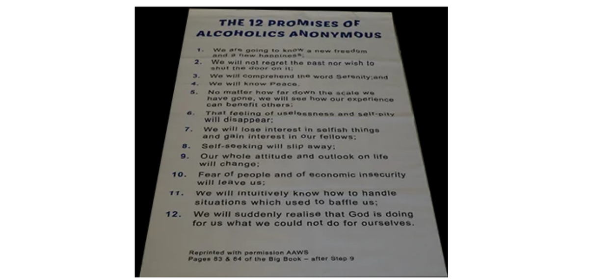 Promises Banner – AA NSW Bookshop